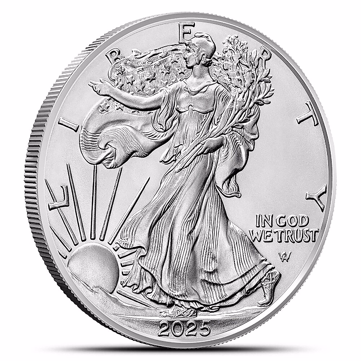 2025 American Silver Eagle .999 Fine Silver in Direct Fit Air Tite with our Smyrnacoin Certificate of Authenticity Dollar Uncirculated US Mint