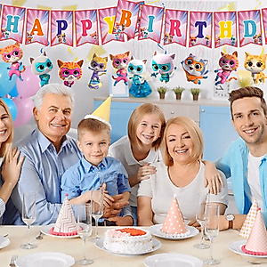 Kitties Birthday Party Decorations, Kitties Party Banner and 30 Hanging Swirls, Kitties Party Swirls Streams for Girls, Boys Birthday Party