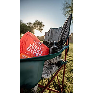 Stella & Chewy's Just Jerky Bites Real Chicken Recipe Dog Treats, 6 oz. Bag