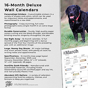 The Beauty of Black Labrador Retrievers | 2024 14 x 24 Inch Monthly Deluxe Wall Calendar | Sticker Sheet | StarGifts | Animal Dog Breeds