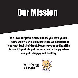 Winnie & Lottie Natural Antibiotics for Cats | Cat Antibiotics | Cat Antibiotic | Pet Antibiotics | Cat Immune Support | Antibiotic for Cats | Cat Multivitamin | Cat UTI Antibiotics | 1 fl oz