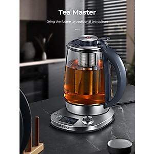 Tea Kettle Electric, AMEGAT Tea Pot with Removable Infuser, 9 Preset Brewing Programs Tea Maker with Temperature Control, 2 Hours Keep Warm, 1.7L Electric Kettles, 1200W, Glass and Stainless Steel