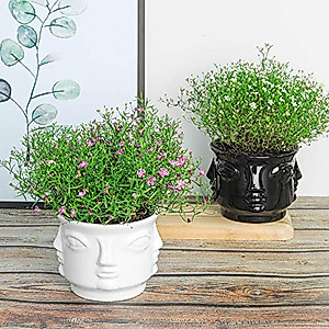 T4U Face Succulent Pots with Drainage 2-Pack - Small Ceramic Head Succulent Planter for Tiny Cactus, Herb, Bonsai Plant, Mini Flower Pot for Indoor Home Office Living Room Decor (No Plants)