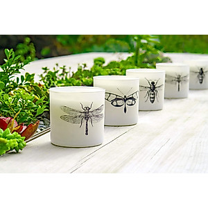 Skeem Citronella Sea Salt Votive Scented Candles - Set of 3 White Votive Candles - 50 Hour Burn Time - Made in The USA
