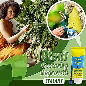 Anshka Plant Restoring Regrowth Sealant, Bonsai Tree Wound Paste, Tree Wound Bonsai Cut Paste, Smear Agent Pruning Compound Sealer with Brus (1pcs)