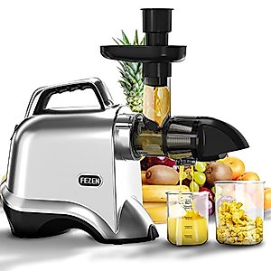 FEZEN Slow Masticating Juicer for Cold Press, Easy to Clean & Use, Celery Juice Extractor, Wheatgrass Juice Extractor, High Juice Yield & Fresh Taste (Silver)