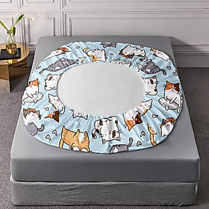 BailiPromise Cartoon Cat Bed Sheet Girls Boys Little Kitten Bedding Set for Teens Children Cute Cat Fitted Sheet Flat Sheet Kawaii Animal Bed Cover 4Pcs Queen Size