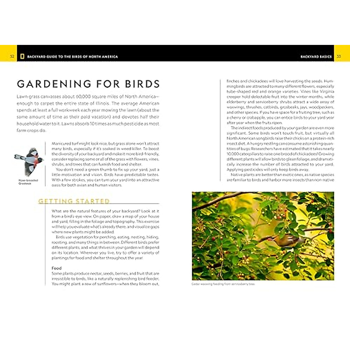 National Geographic Backyard Guide to the Birds of North America, 2nd Edition (National Geographic Backyard Guides)