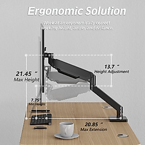 MOUNTUP Normal Dual Monitor Stand & Ultrawide Single Monitor Mount Bundle