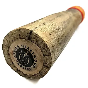Africa Heartwood Project 10" Cactus Rainstick from Chile - Authentic Handcrafted Rain Stick Musical Instrument with Rasta Yarn Wrap and Durable Sealant