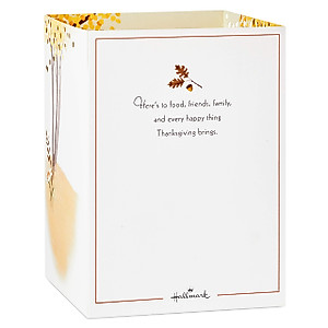 Hallmark Paper Wonder Displayable Pop Up Thanksgiving Card (Give Thanks)