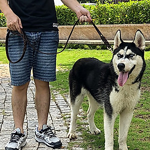 FAIRWIN Braided Leather Dog Training Leash 6 Foot - 5.6 Foot Military Grade Heavy Duty Dog Leash for Large Medium Small Dogs (M:5/8" x5.6ft, Brown) 004