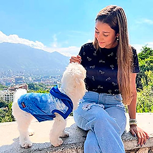 SILOPETS Puppy Clothes for Small Dogs Boy Hooded - Soft and Stretchy Small Puppy Clothes to Daily Walks - Sleeveless Puppy Clothes Boy (Sky S) Green