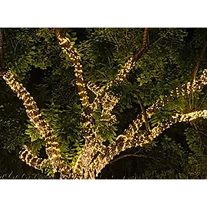 KAQ 115FT 300LED Warm White Christmas String Lights Indoor/Outdoor, Waterproof Christmas Lights with 8 Modes, Clear Wire Fairy Tree Lights for Garden Bedroom Christmas Decorations (Warm)