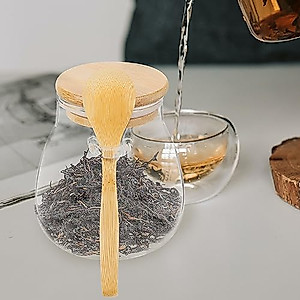 Glass Food Jar Glass Storage Jars with Sealed Bamboo Lids Clear Food Storage Canister for Serving Tea Coffee Candy Cookie Dog Treats with Spoons As Shown 350ml Glass Tea Canister
