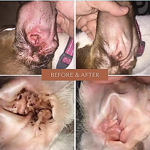 Barkos Pet Supplies Dog Ear Cleaner Wipes | Bulldog, French Bulldog, Pug, English Bulldog | Cleans & Soothes Ears, Wrinkles, Folds, Tear Stain (Dog Ear Cleaner Wipes)