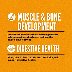 ORIJEN Puppy Dry Dog Food, Grain Free Dry Dog Food for Puppies, Fresh or Raw Ingredients, 13lb