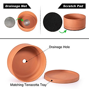 D'vine Dev 10 Inch Succulent Terracotta Shallow Pot with Drainage Hole and Saucer, Round Cylinder Planter Pot for Plant Flower, 40-B-L-10-1