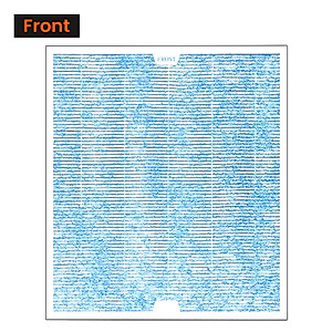 Abestorm HEPA/Activated Carbon Filter Replacement Set for Filterair HEPA 550 (3 Pack)