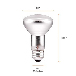 SYLVANIA Incandescent Flood Light Bulbs, R20 45W, 295 Lumens, 2,000 Hours, Value Pack (15676), Warm White, 6 Pack