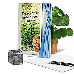 NobleWorks - 1 Happy Birthday Card with Funny Animals - Wildlife and Pet Humor, Fun Birthday Celebration Notecard - Empty Bird Feeder C2561BDG