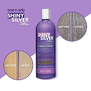 Shiny Silver Conditioner Ultra Color Enhancing 12 Ounce (354ml) (2 Pack)