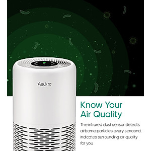 HEPA Filter Air Purifier, Air Purifiers for Home, Bedroom, Office, Pets, H13 Grade (touch control)