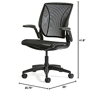 Humanscale World One Task Chair WLT1BR10R10