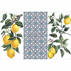 Redesign with Prima 655350656720, Multi