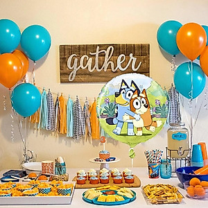 Bluey Round Multicolor Foil Balloon - 18" | Premium Quality & Reusable - Perfect for Celebrations & Kids Parties (1 Count Pack)