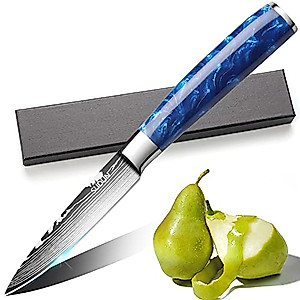SUDUN Professional Paring Knife 3.5 inch Small Kitchen Knife Ultra Sharp German Stainless Steel 7Cr17Mov Fruit and Vegetable Cutting Chopping Knives - Full Tang Ergonomic Handle