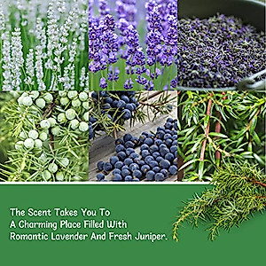 Funny Going Away Gift for Coworker, Leaving Office Gifts for Coworkers, Retired Goodbye Gifts Farewell Gifts New Job Gifts Retirement Gifts for Women Men Work Bestie Boss, Scented Candles