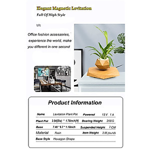 KIYOMING Levitating Plant Pot Hexagon Floating Air Bonsai Pot Suspension Flower Pot Planter for Office Home Decoration