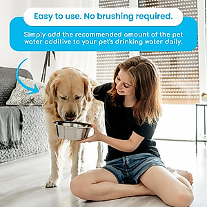 Oxydent Premium Pet Dental Care Solution - Pet Water Additive & Mouthwash for Teeth Cleaning - Eliminate Bad Dog & Cat Bad Breath - Dog Dental Rinse - Fights Tartar & Plaque