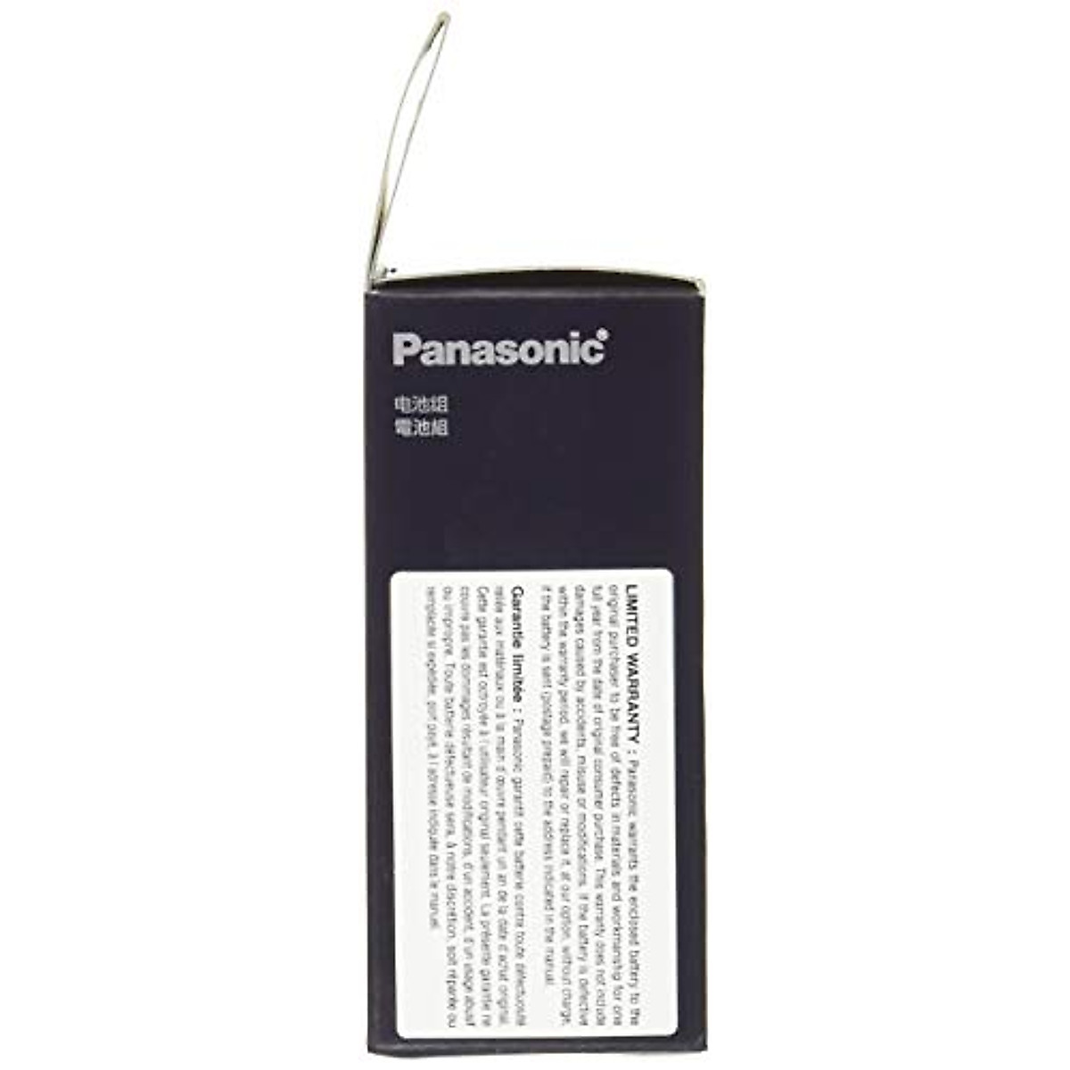 Panasonic DMW-BLG10 Lithium-Ion Battery Pack (Black)