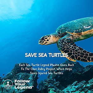 Follow Your Legend Sam The Sea Turtle Plush with Pillow Accessory - 10" Adopt Me Plushies, Stuffed Turtle, Sea Turtle Stuffed Animal, Small Turtle Plush