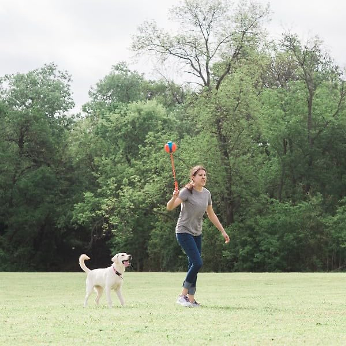 Chuckit! Rope Fetch Dog Toy, Indoor and Outdoor Dog Toy One Size (Pack of 1)