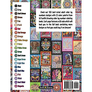 100 BEST Adult Color By Numbers: The best designs from Sunlife Drawing color by number coloring books