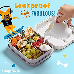 Bentoheaven Premium Bento Lunch Box for Kids, 9 Designs, Leak-proof 3-4 Compartments, Divider, Ideal size 30oz, Microwave/Dishwasher Safe Kids Bento Box (Loncheras Para Niños/Niñas)[Sand Gray]