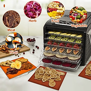 6Pcs Silicone Dehydrator Mats with Edge, Silicone Dehydrator Sheets Dehydrator Mats Compatible with Cosori CP267-FD, Non-stick Silicone Fruit Trays with Silicone Scraper for Fruits Meat Herbs