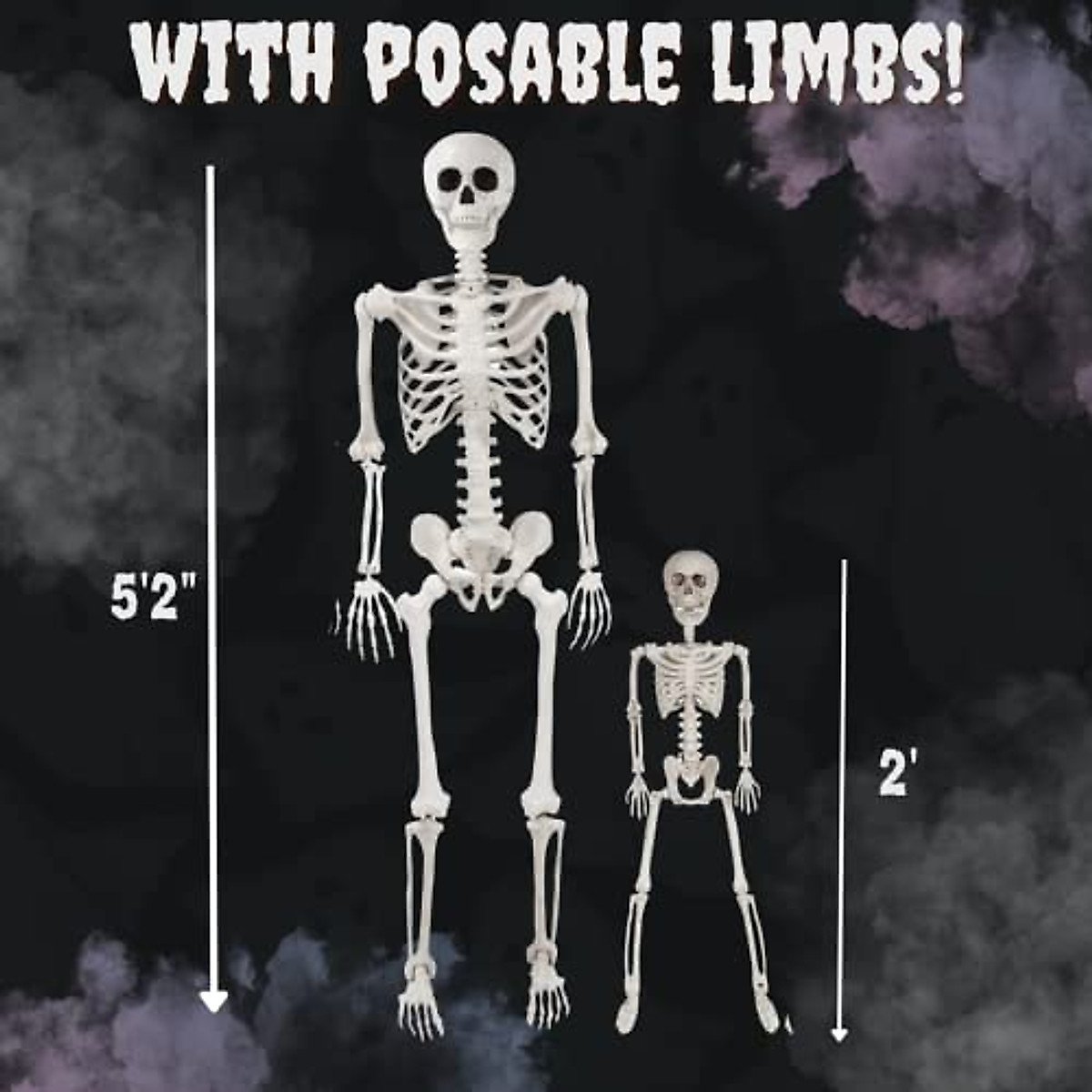 Posable Life Size Human Skeleton Family Set of 2 -Adult (5' 2")& Children (2')-Halloween Prop Indoor Outdoor Decorations w Bones- Fun & Educational Science Classroom