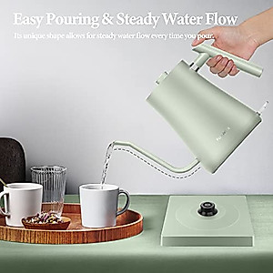 Gooseneck Electric Kettle Fabuletta 1500W Ultra Fast Boiling Water Kettle 100% Stainless Steel for Pour-over Coffee & Tea Leak-Proof Design French Press Boil-Dry Protection 1L Sage Green