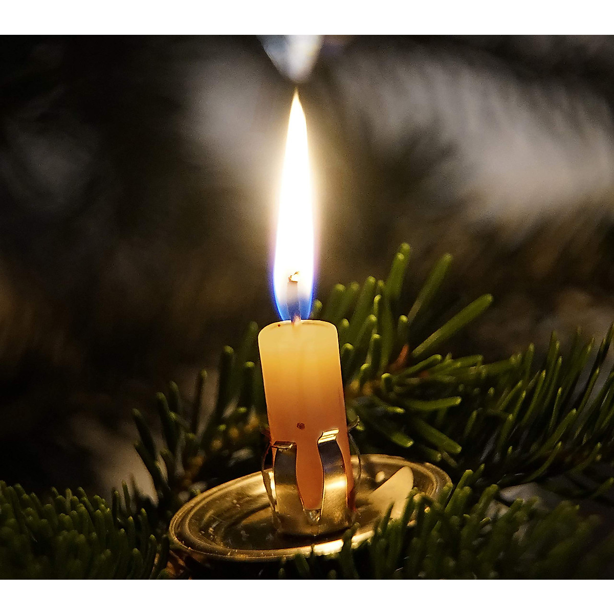 Hyoola Beeswax Candles 12 Pack - All Natural 100% Beeswax Tree Candles - 1/2 Inch Candles - Handmade in The USA - Yellow