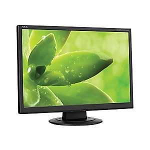 NEC AccuSync AS192WM-BK 19-Inch Screen LCD Monitor