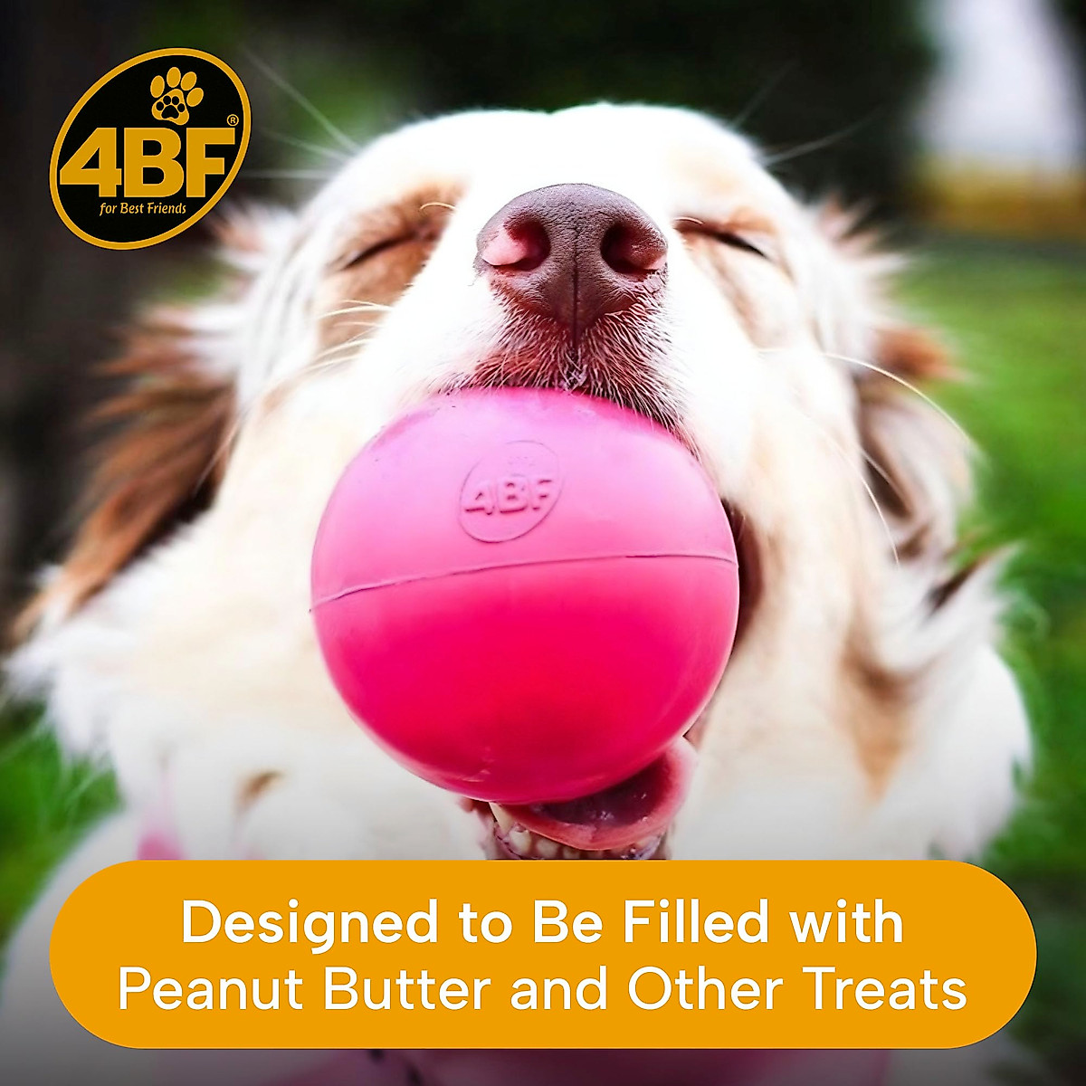 4BF Crazy Bounce, Natural Rubber Dog Ball, Dog Treat Dispenser, Durable & Interactive Dog Toys, Fillable Dog Fetch Ball, Peanut Butter-Scented Rubber Balls for Dogs, Aqua, Size L