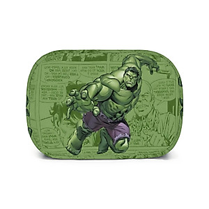 Grehge MNBVCX Green Insulated Lunch Bag Comics Lunch Box Portable Lunch Kit for Men Women Travel Picnic Beach