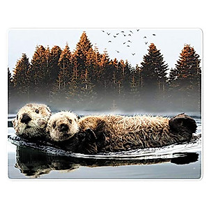 HommomH 60"x80" Blanket Soft Fluffy Fleece Throw for Sofa Bed Swimming Otters