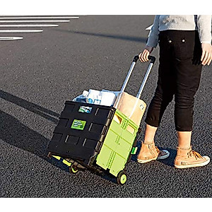 Takeda Corporation ZY-36MBG2 [Gardening, Harvesting, Equipment Storage, Trunk and Carry] Foldable Container Carrier, Black/Green, 16.9 x 13.0 x 33.9 inches (40.5 x 33 x 86 cm)