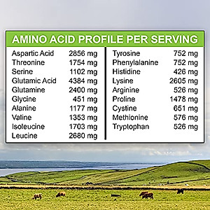 MariGold Grass-fed Whey Isolate Protein Powder - Creamy Vanilla Flavor - 1 Lb Bag | 100% Pure, Cold-Processed, Micro-Filtered, Undenatured, Non-GMO, rBGH Free, Soy Free, Gluten Free, Lactose Free