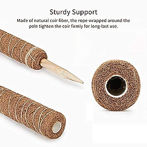 JOYSEUS 30 Inch Moss Pole for Climbing Plants - 2 Pack 15 Inch Coir Totem Pole Plant Support with 65 Feet Garden Twist Tie for Monstera and Potted Plants to Grow Upwards…